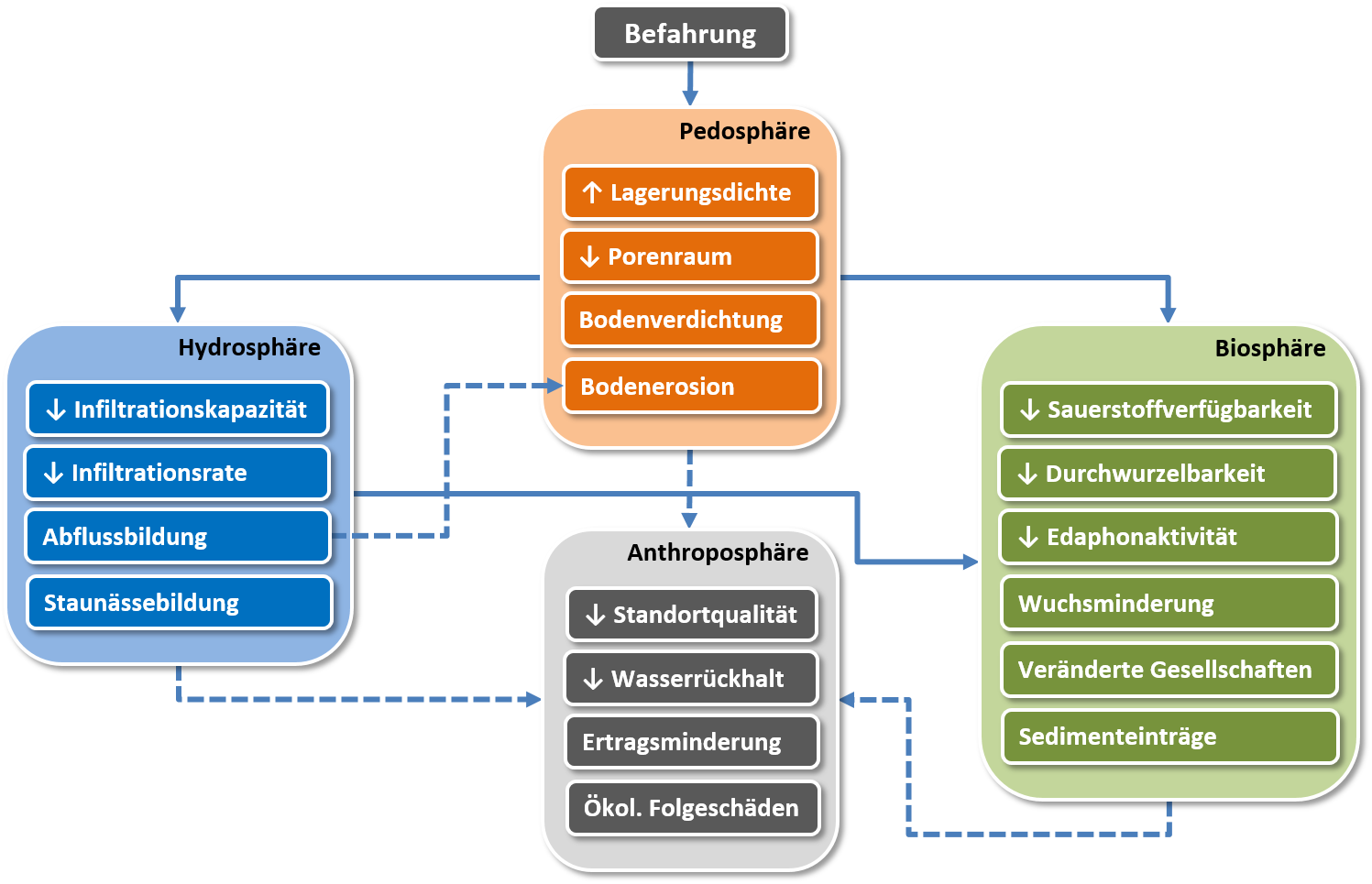 Verdichtung_Geoökologie | Universität Koblenz