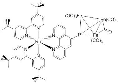 Ru-Fe-Cluster | University of Koblenz