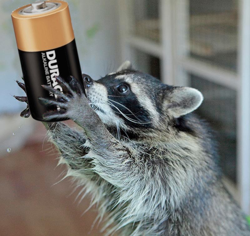 Triple-A Facet 1 | University of Koblenz